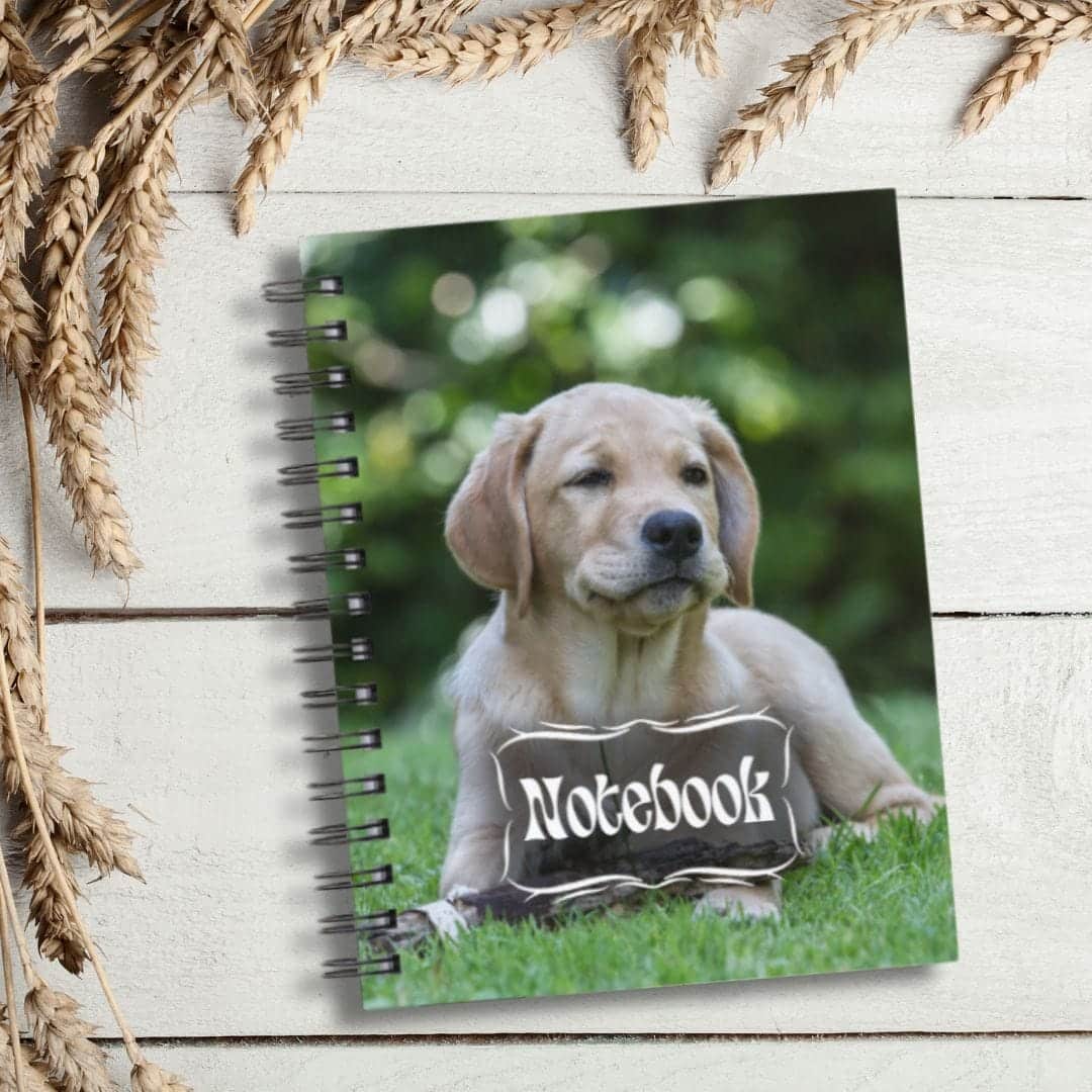 Fireside News Cozy Freebie | Danielle Grandinetti